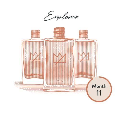 11 - New World - Booze Buddie